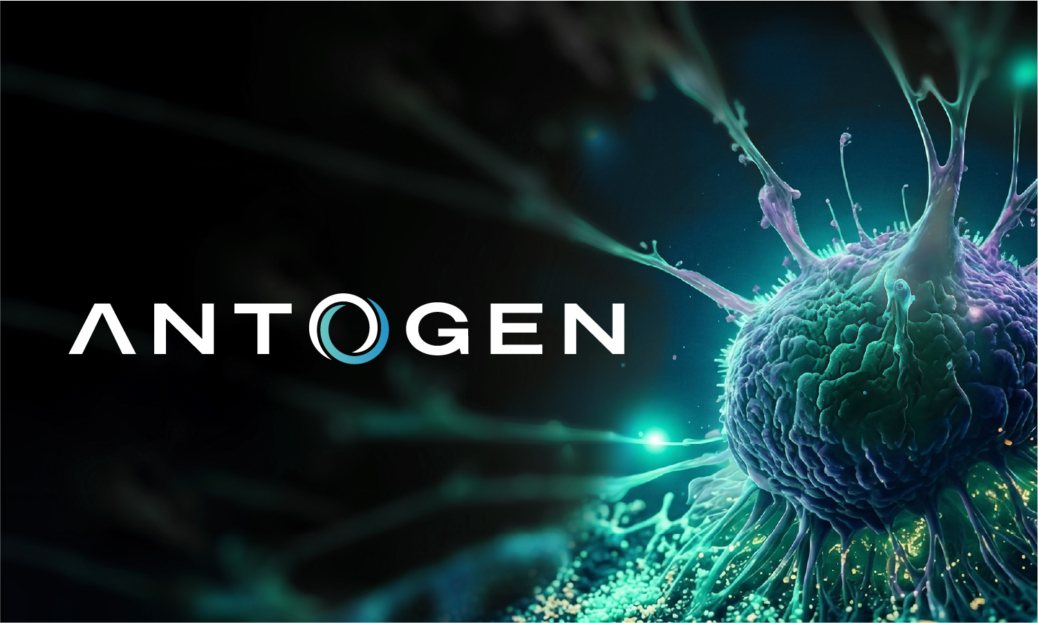 Antogen | From HLA peptides to actionable clinical insight